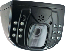 Wide Dynamic Range REI Wedge Cameras